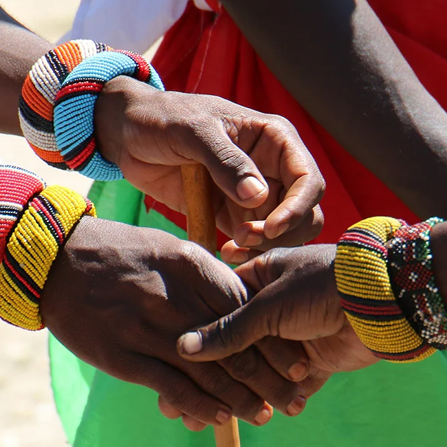 Examples of Integrity Projects Globally